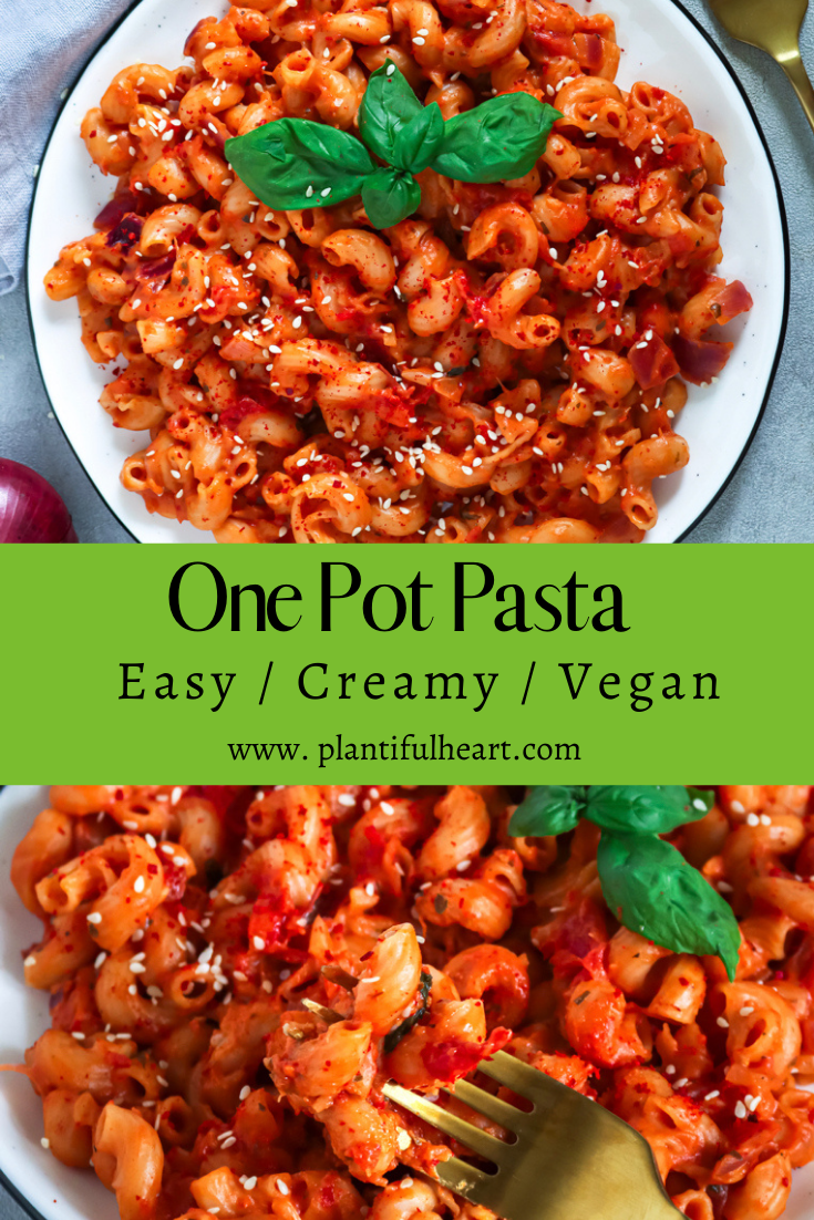 Easy One Pot Pasta with Tomato Sauce (Vegan)